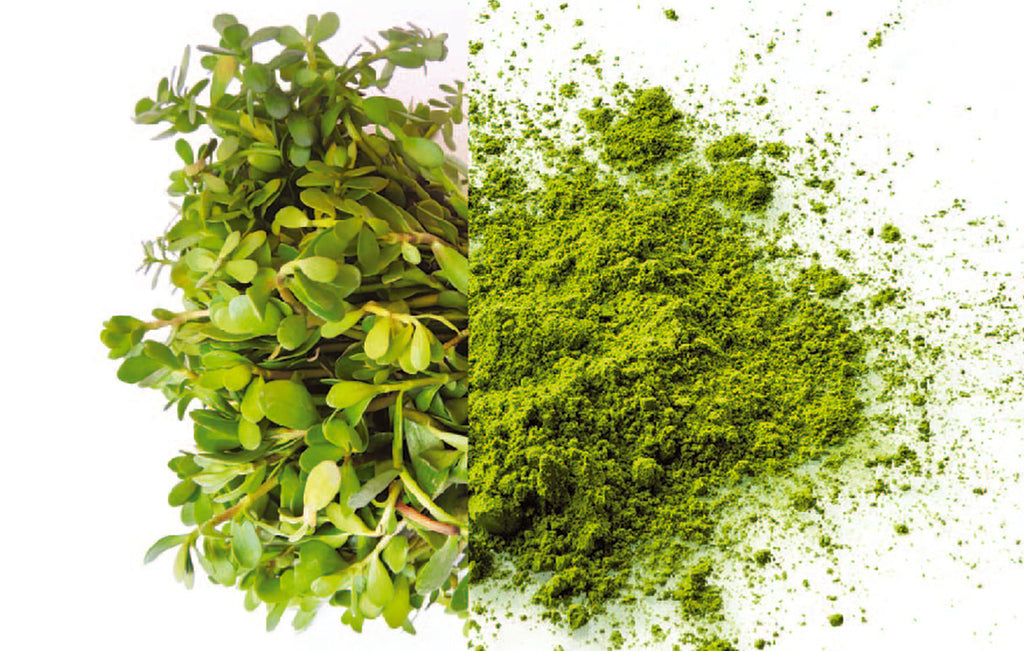 Ingredient Spotlight: Bacopa monnieri – Womaness